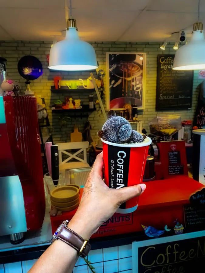 Loka - Travel like a local